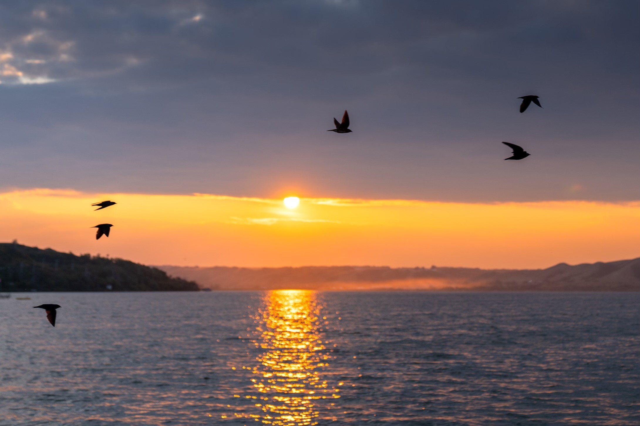 birds over water sunset – Resort Village of B-Say-Tah